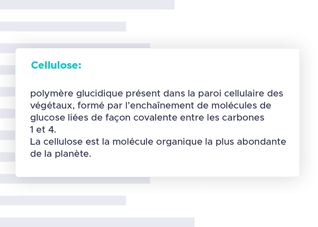 SVT BAC International - Kezakoo