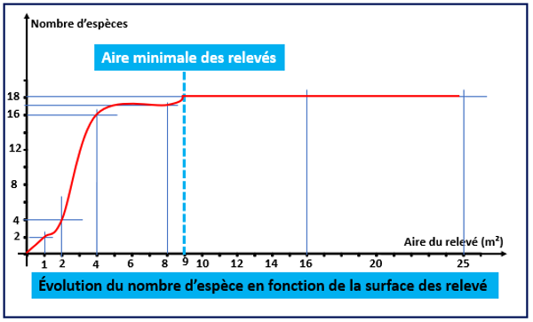 Les techniques adaptatives à l'étude de l'écologie - Kezakoo